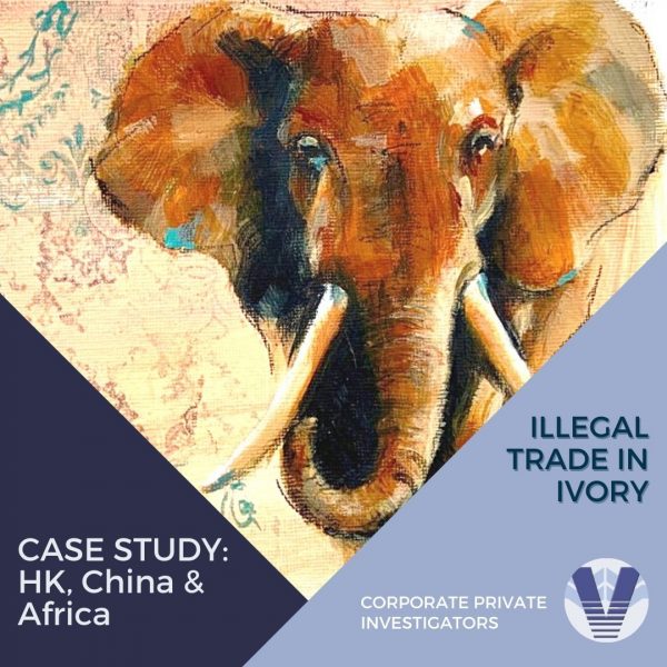 Trade in Ivory Case Study | Wildlife Crime Investigators | Veriton Asia